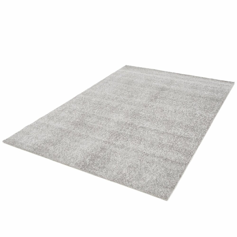 Teppich - hellgrau - 160x230 cm | Online bei ROLLER kaufen
